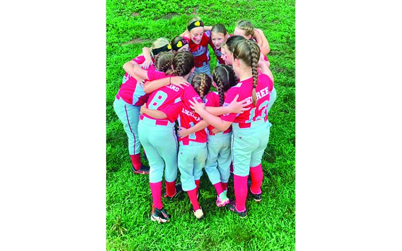 8U teams make splash at state | The Franklin Press, Franklin, North ...